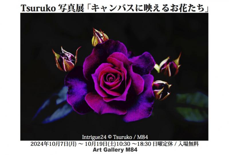 Tsuruko写真展『キャンバスに映えるお花たち』 | 個展なび